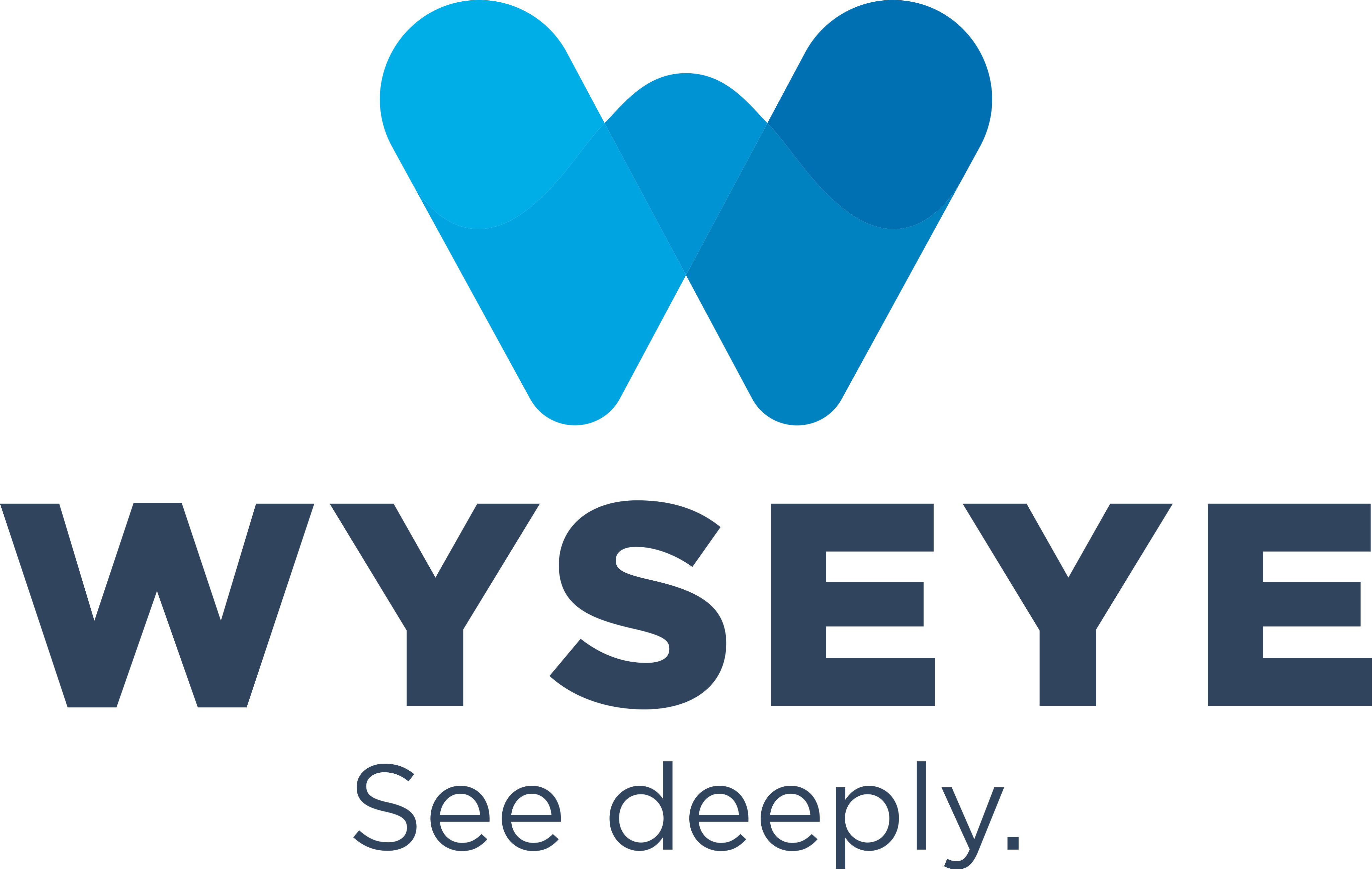 Wyseye